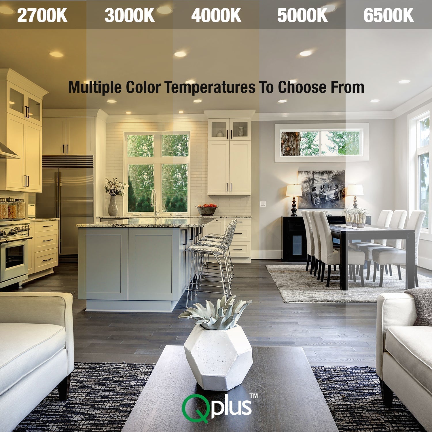 QPlus 4 Inch Slim Recessed LED Pot Lights For Dry & Damp Location Pink ...